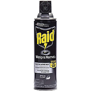 Raid Wasp Hornet Killer Spray (14 Ounce (Pack of 1)