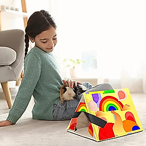 Y-DSIWX Guinea Pig Hideout Cozy Hamster House Cave for Bunny Chinchilla Hedgehog Small Animal Rainbow