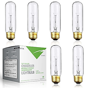 BULBMASTER 25 Watts T10 Tubular Clear Incandescent Light Bulb, Antique Vintage Style Showcase Bulb 6 Pack
