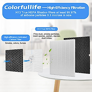Colorfullife 2 Pack 116130 Replacement Filter H for Winix 5500-2 Air Purifier, 2 Pack HEPA Filters and 2 Pack Activated Carbon Filter Combo Pack