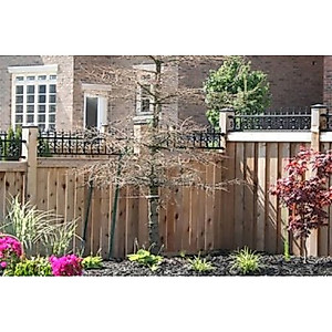 Nuvo Iron Pyramid Post Cap, 6" x 6",Black