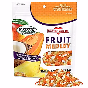 Fruit Medley Treat - Healthy Natural Dried Fruit Treat - Sugar Gliders, Squirrels, Chinchillas, Prairie Dogs, Opossums, Marmosets, Monkeys, Parrots, Birds, Rabbits, Guinea Pigs & Small Pets (4 oz.)