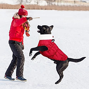 Queenmore Warm Dog Winter Jacket, Fleece Lining Dog Cold Weather Coats, Windproof Turtleneck Dog Vest with Neckline D-Ring, Snowproof Dog Jacket for Small Medium Large Dogs