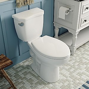 DeerValley DV-2F52531 Dynasty Two-Piece Elongated Toilet 1.28 GPF Siphonic Flush White ADA Comfort Height Bathroom Toilet (Toilet Seat Included)(Water Efficient)