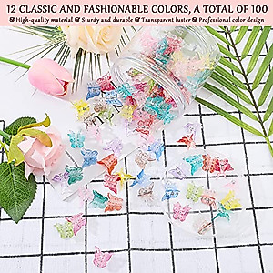 100 Butterfly Hair Accessories for Women - Mini Clips with Box, 90s Retro Style (Clear Color)