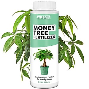 Money Tree Fertilizer for Money Trees and All Pachira Plants, Liquid Plant Food 8 oz (250mL)