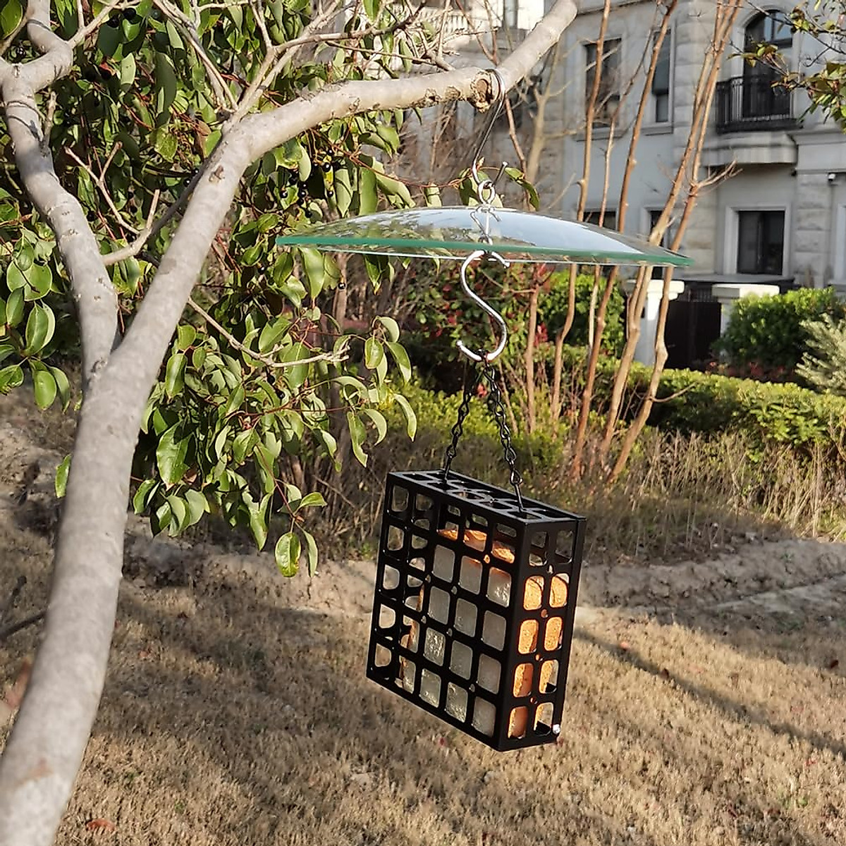 10" Glass Rain Cover for Wild Bird Feeder Outdoors - Weather Guard S Hook Hanging - Protective Dome Baffle - Clear (Dia. 25CM)