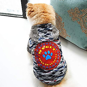 HonpraD Small Dogs Clothes Female Coat Color Clothing Stitching Pet Winter Print Clothes Cat Shirt Sweatshirt Dog Pet Clothes
