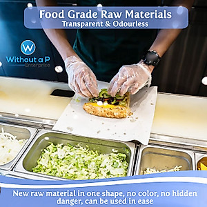 Without A P BULK (500 Count) LARGE Disposable Food Service Poly Gloves Cleaning BPA/Latex and Powder free for Kitchen,Cooking, Food Prep, BBQ (500, Large)