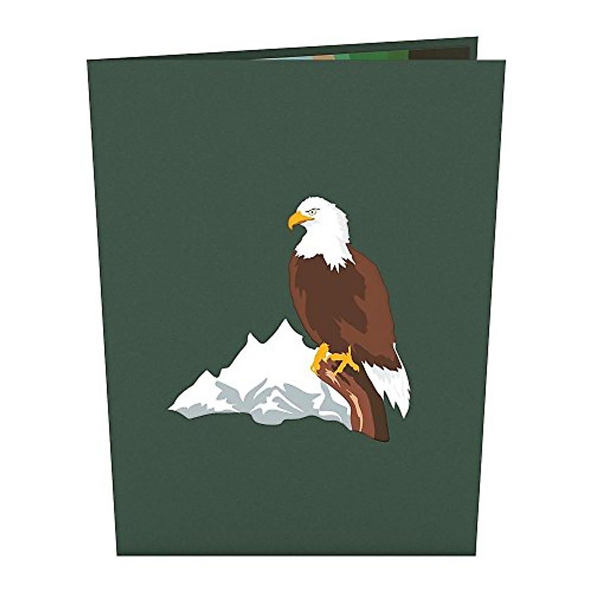 Lovepop Eagle Pop Up Card, 3D Card, Father's Day Card, Birthday Card, Patriotic Card, Animal Card, Bird Card, Nature Card, Great Outdoors Card