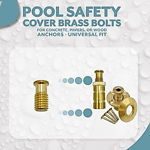 Poolzilla 10 Pack Pool Safety Cover Threaded Brass Insert Screw Bolt for Anchor