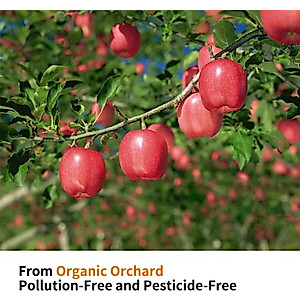 XLpeixin Bird Playground Parrot Playstand Birds Play Stand Wood Exercise Perch Gym Stand Hanging Swing Toys for Small Medium Parakeets Canaries Cockatiels Lovebirds and More…