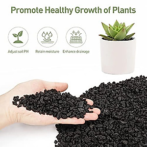 GASPRO 2.5lbs Lava Rocks for Plants, 1/5 Inch Black Gravel for Succulent, Cactus, Bonsai Tree, Pure Volcanic Rocks, Top-Dressing, Good Drainage