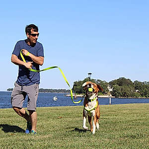 Pawtitas Dog Collar for Extra Small Dogs Adjustable Dog Collar Heavy Duty Waterproof Collars for Dogs with Quick-release Buckle - Blue Dog Collar for Extra Small Breeds