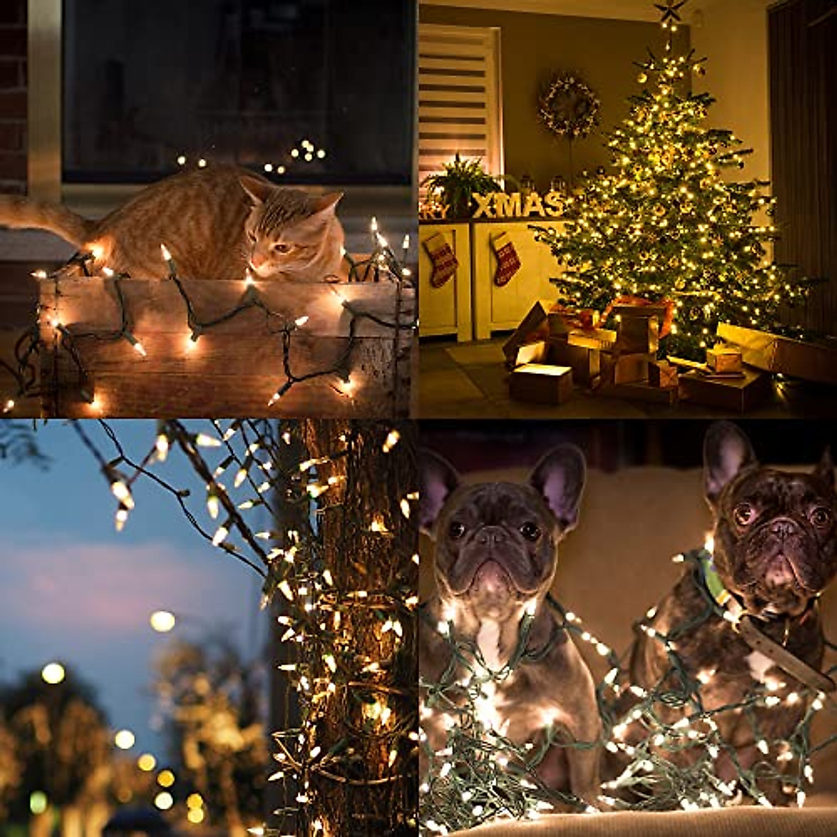 WATERGLIDE Christmas String Lights, 150 Lights 120V UL Certified Incandescent Clear Mini Green Wire Fairy Light, Xmas Tree Lights for Patio Wreath Garland Garden Outdoor Indoor Decoration