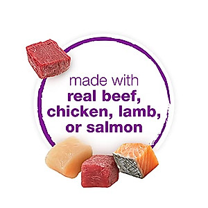 Beneful Purina High Protein Wet Dog Food Variety Pack, Prepared Meals & Chopped Blends - (16) 10 oz. Tubs