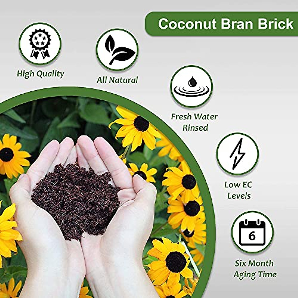 Hodiax Premium Coco Coir Brick, 1.4Lb High Nutrinent Compressed Coconut Soil, OMRI 100% Organic Low EC & PH Balanced Potting Soil for All Plants Gardening, Hydroponics and Reptile Substrate (650G x 2)