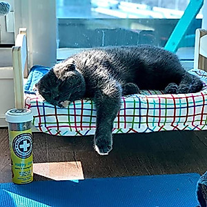 Meowijuana | Radi-Claw Bundle | Jump 'n' Jamb Monkey Door Hanger Toy and Happy Grass Catnip Blend | Promotes Play and Cat Health | Includes Organic Catnip