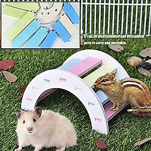 2 Pack Rat Flying Saucer Exercise Wheel & Wood Bridge Rainbow Climb - Durable ABS Plastic Running & Jogging Running Silent Spinner - for Mouse Hedgehog Chinchilla Pets Mice Hamsters Gerbil Cage Toy