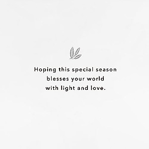 Hallmark Peace Dove Boxed Christmas Cards (16 Cards and Envelopes) Navy Blue, Mint Green, Gold, Red