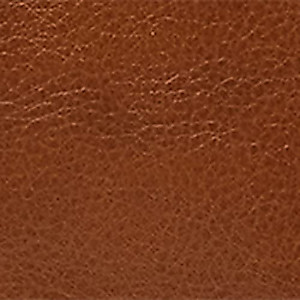 Fossil Women's Carlie Leather Satchel Purse Handbag, Brown (Model: ZB1772200)