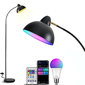 Smart WiFi RGB Floor Lamp Work with Alexa & Google Home, Arched Modern Industrial Standing Tall Lamp, Color Changing Dimmable LED Bright Floor Lamp with Remote for Living Room, Bedroom, Office-Black