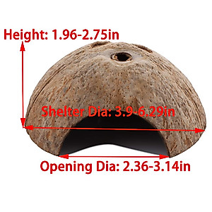 DQITJ 3 Pack Hermit Crab Hideout, Natural Coconut Shells Hut for Spider Hermit Crab Gecko Turtle Small Reptile Fish Tank Aquarium
