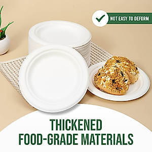 TaidMiao Dessert Plates, 100 Pack Small Paper Plates, Paper Plates 6 Inch – 100% Compostable Plates, Water & Oil Proof Disposable Plates, Microwavable Perfect Paper Plate For Party - White