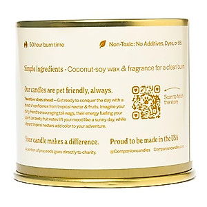 Companion Candles Pet Safe Wood Wick Candle - “You Got This!” Citrus & Tropical Fruits, Coconut Soy Wax Scented, Over 50 Hr Burn Time, Non-Toxic, Women-Owned, Made in USA (11.8 oz.)
