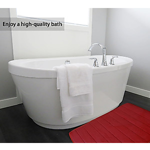 iMaylex Soft Memory Foam Bath Rug, Absorbent Luxury Bath Rug Mat, Quick Dry Bath Mat for Front Floor of Bathtub, Shower Floor and Toilet, Wine Red, 32" x 20"