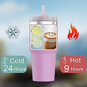 YOUEXPERT 14 oz Tumbler with Straw, Insulated Tumblers with Lid and Straw, 14 oz Cup Stainless Steel Mini Outdoor Sports Travel Tumblers - Pomelo