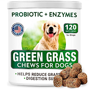 Dog Probiotics Chews + Calming Hemp Treats + All-Natural Grass Treatment - Gas, Diarrhea, Allergy, Constipation, Upset Stomach Relief + Anxiety Relief - Separation Aid + Grass Saver Pee Lawn Repair