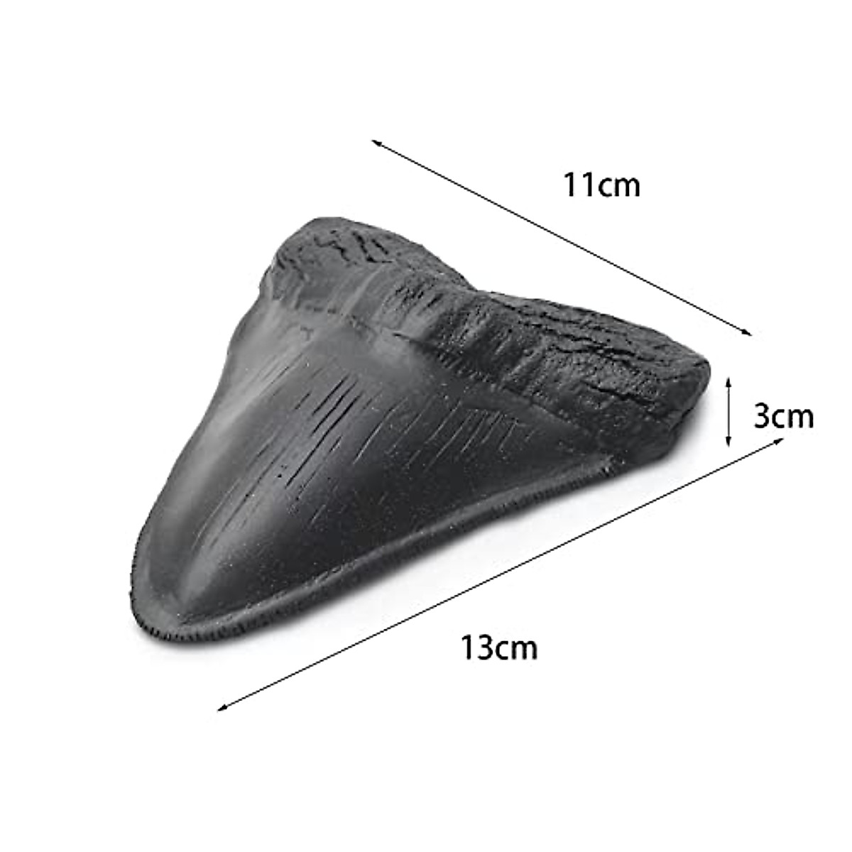 Megalodon Shark Tooth Fossil Giant Shark Tooth Megalodon Tooth Replica (Black)