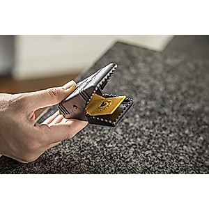 Tomcat Mouse Snap Traps