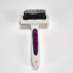 Kaytee Pro-Slicker Brush White