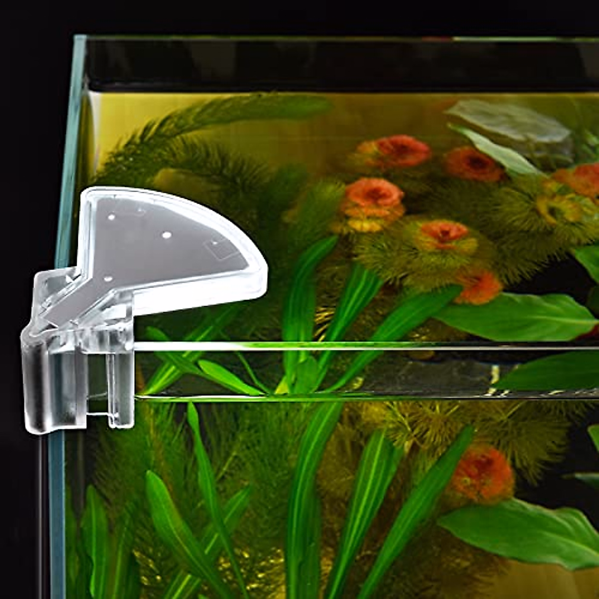 WEAVERBIRD Aquarium Light M3 Fan Shape Fish Tank LED Light 5W 12 LED Planted Clip Lamp for 4-10Inch 6mm Thick Fish Tanks