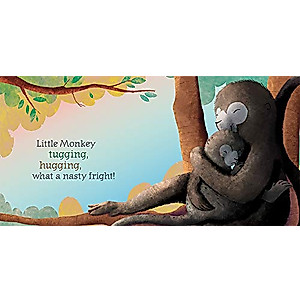 Little Monkey (Little Animal Friends)