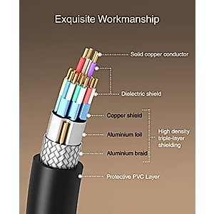 BlueRigger 8K DisplayPort Cable 1.4 (10FT, 32.4Gbps, HDR10+, DP to DP, 8K@60Hz, 4K@144Hz, 2K@165Hz, 1080p@240Hz) Display Port 144Hz per VESA Specifications for Laptop PC Graphics Card, Gaming Monitor