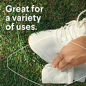 Clorox Disinfecting Wipes, Fresh Scent, 35-ct