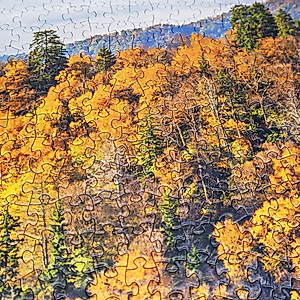 BEDUKE Jigsaw Puzzles for Adults 1000 Piece Sturdy Premium Thick Paper Cardboard Colorful Rainbow Design Puzzle Interlocking Precise Unique Shape Pieces Family Game Eco-Friendly Paperboard Age 14+