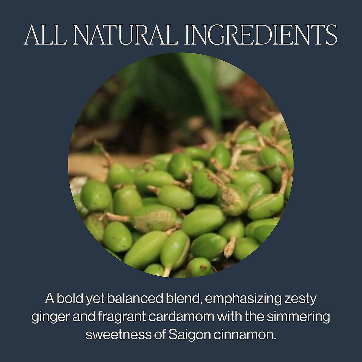 Rishi Tea Masala Chai Tea | USDA Organic Direct Trade Sachet Tea Bags, Certified Kosher Assam Black Tea Blend with Whole Spices, Energizing & Caffeinated | 15 Count (Pack of 1)