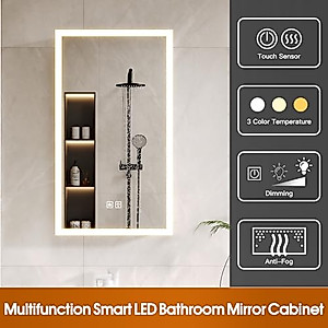 Seenvlog Bathroom Medicine Cabinet with Lights, 15.7" x 27.5" LED Mirror Cabinet, 3-Color Temp, Black Bathroom Storage Cabinet Anti-Fog, Wall Mount