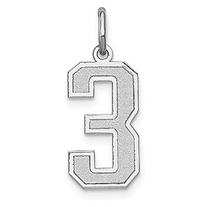 IceCarats 14K White Gold Medium Number 3 Necklace Charm Pendant Only