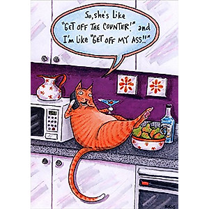 Oatmeal Studios Cat on Counter Funny Birthday Card