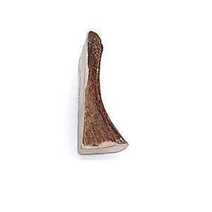 Ranch Rewards ELK Antler Dog Dental Chews Natural Way to Clean Your Dog's Teeth Bulk Too!(Small - 4" to 5" 3 Antlers)
