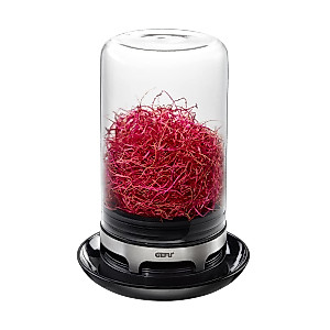 SPROUTING JAR (Black)
