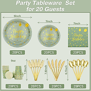 192 Pcs Sage Green Birthday Party Decorations - Sage Green Birthday Plates and Napkins Party Supplies Serve 20 - Sage Birthday Decorations with Birthday Banner Balloon Fringe Curtain for Women Girls