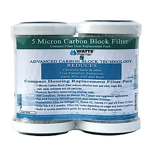 Watts Premier WP560100 5 Micron Carbon Block Water Filter, 2-Pack