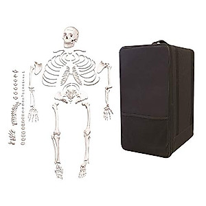 Vision Scientific VAS220-CC0 Life Size, Total Disarticulated Skeleton | Bones & Osteological Features Numbered for Identification | 3-Part Skull | Key to Numbered Structures W Manual & Carrying Case