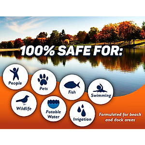 Muck Doctor, 5 Biological Spikes to Reduce Muck, Perfect for Beach Fronts, Lake Docks and Swimming Areas